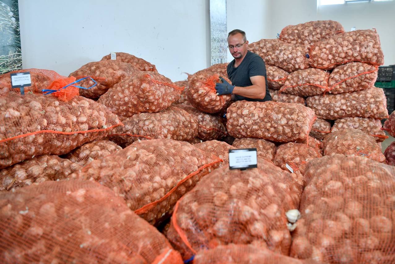 Melyik város híres a hagymájáról? Magyar élelmiszerek kvíze | Dívány